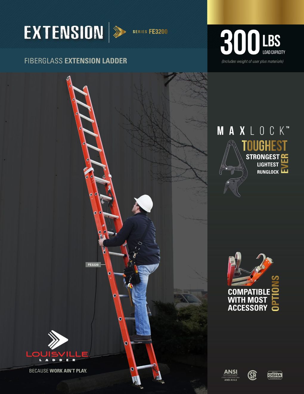 fe3200-extension-ladder-flyer-1 - Louisville Ladder