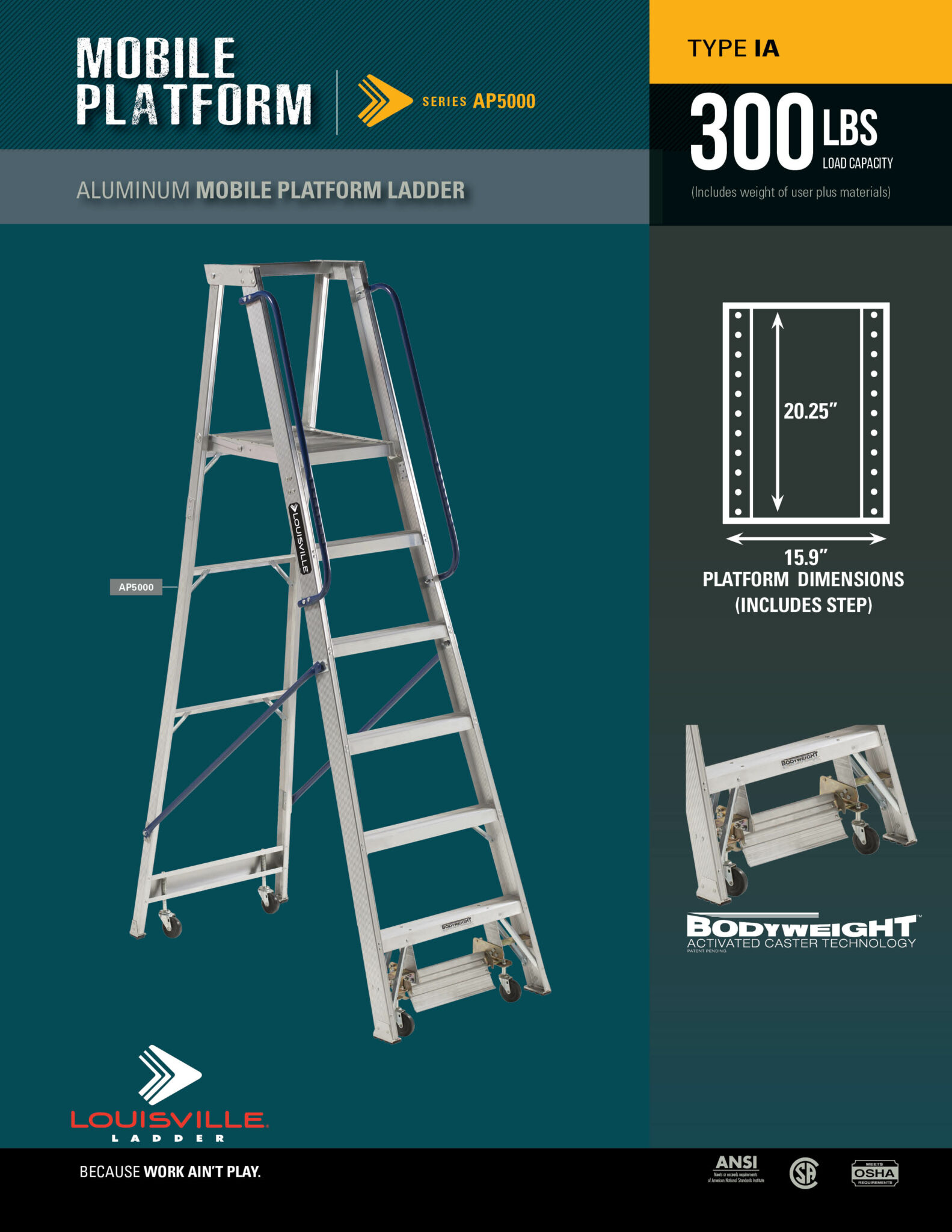 flyer-ap5000-2022 - Louisville Ladder